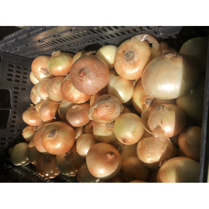Organic Box - Onions, White (Texas Grano) 1kg