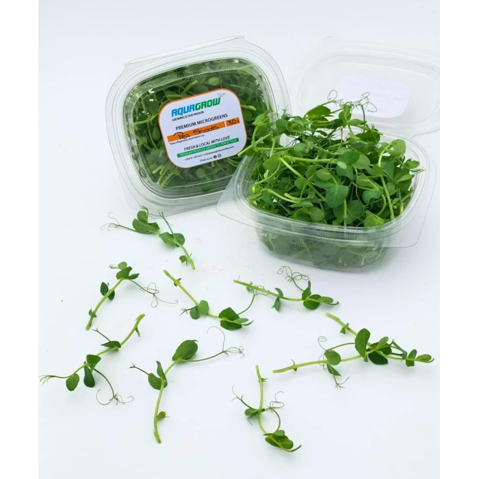 Organic Box - Microgreens, Pea Shoots 30g
