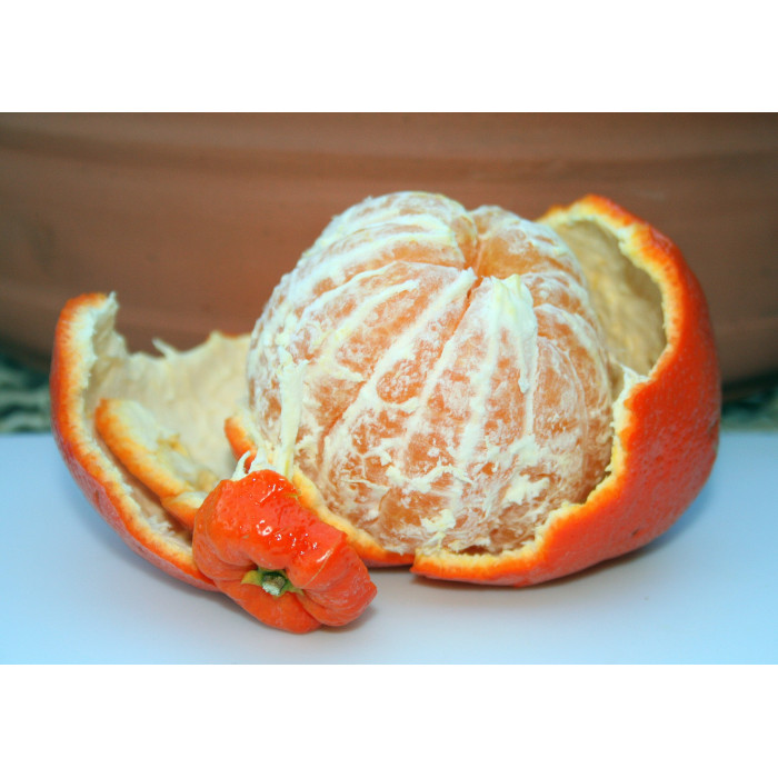 Organic Box - Tangerines/Naartjies, 6s ±700g